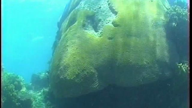 Фиджи. Вити-Леву