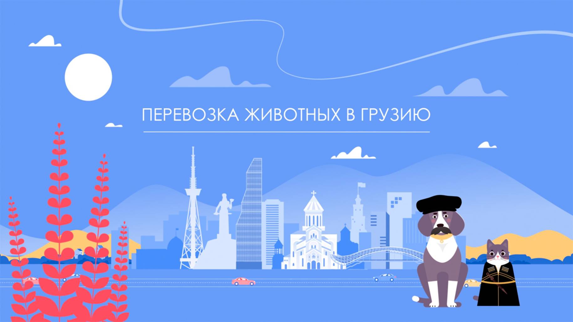 Перевозка животных в Грузию