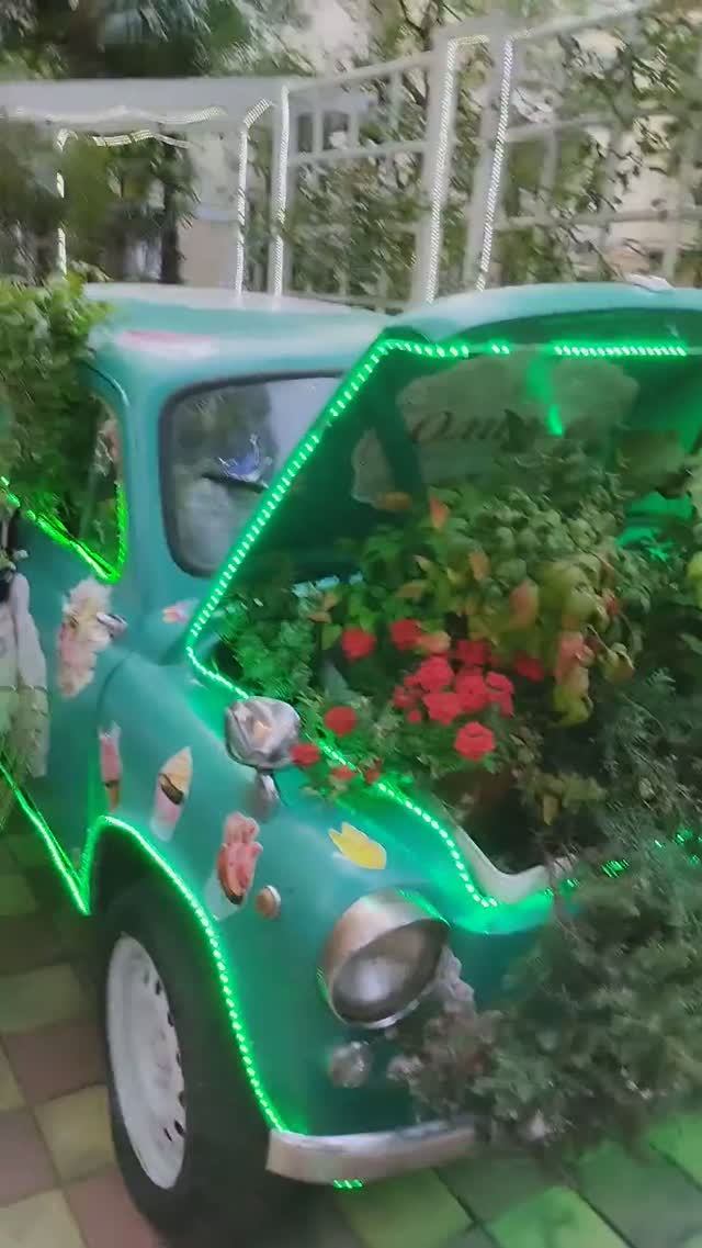 ЗАПОРОЖЕЦ МЕЧТЫ: ГОРБАТЫЙ ОЛИВЬЕ!