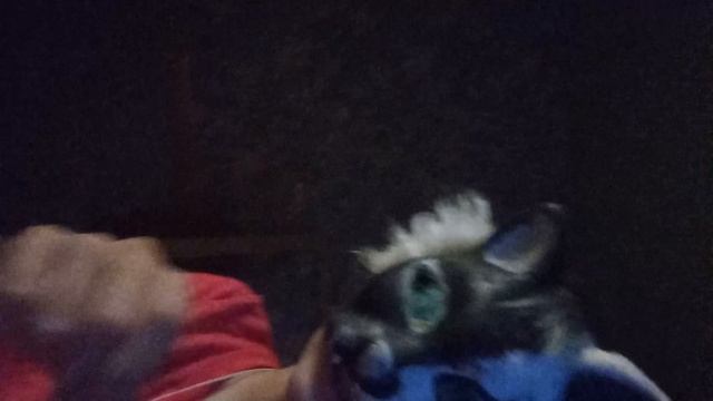 цель  90 подписчиков