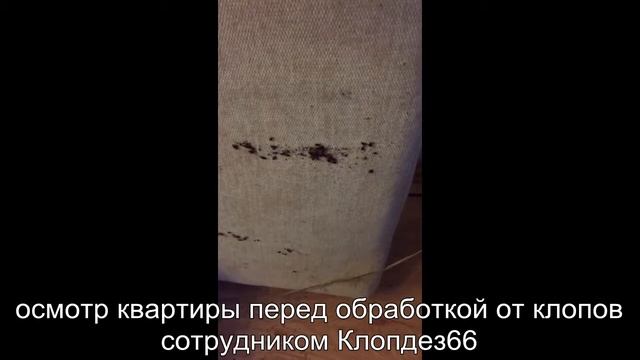 диван на выброс