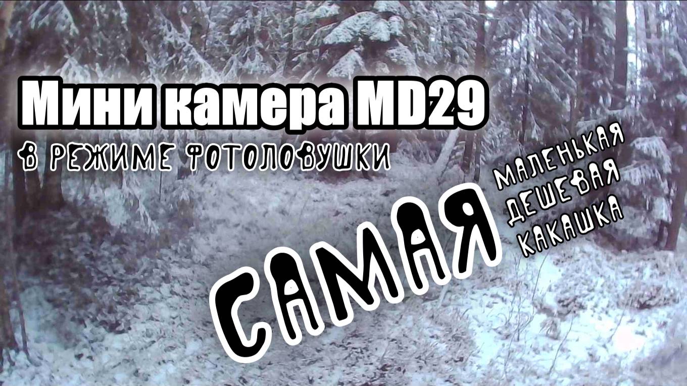 Мини камера MD29. Самая маленькая. Самая дешевая.