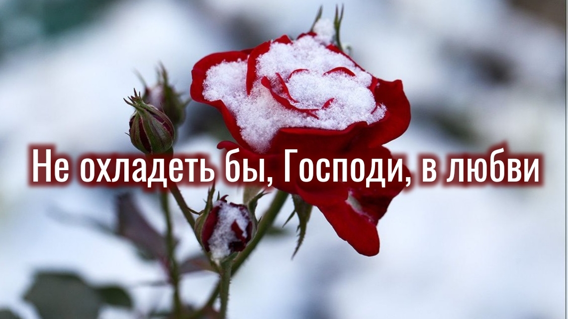 Не охладеть бы, Господи, в любви | христианская песня | Надежда Кудрина