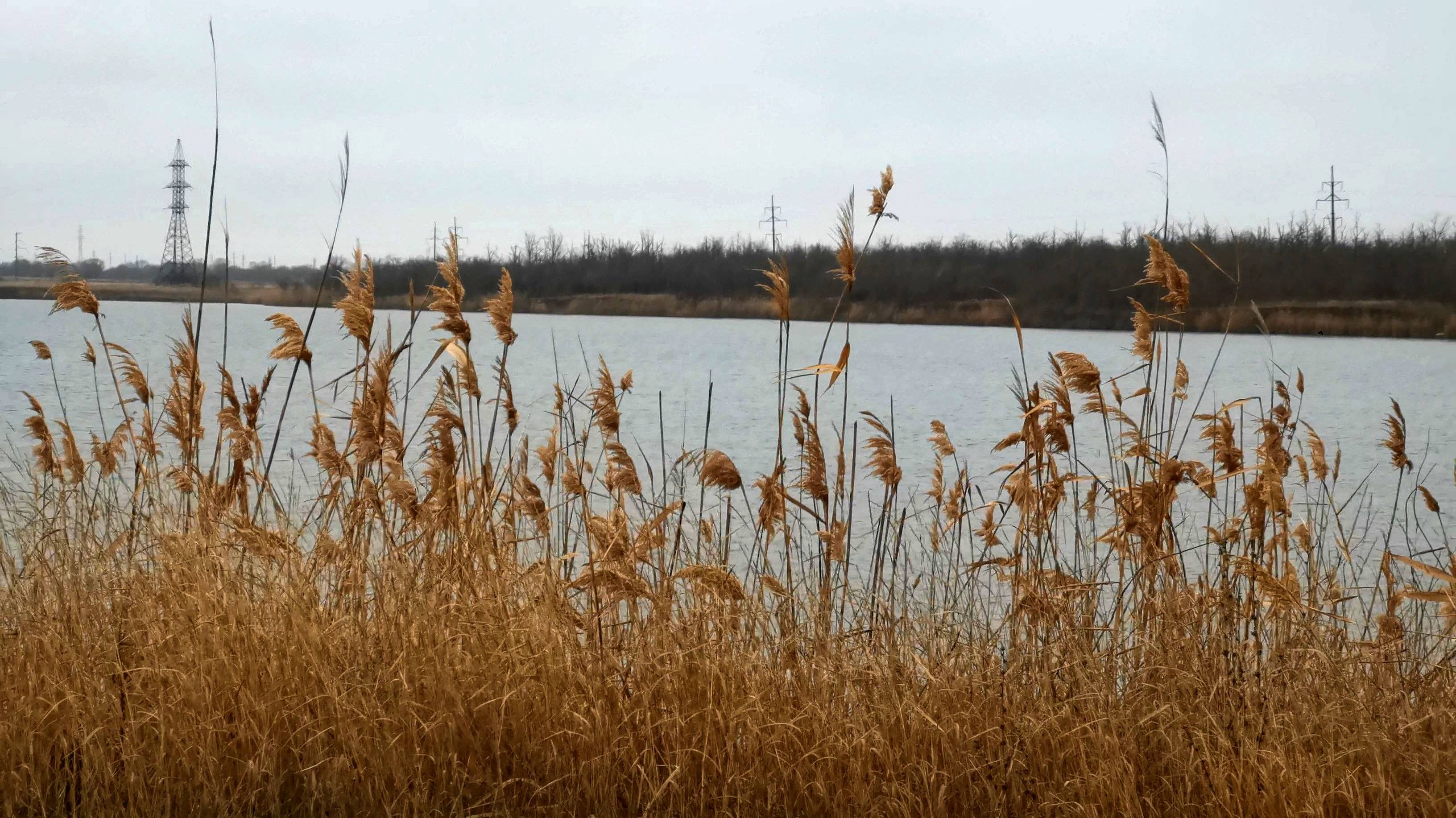 Погода 2025-01-13 Снег (в конце ролика) пошёл на старый новый год