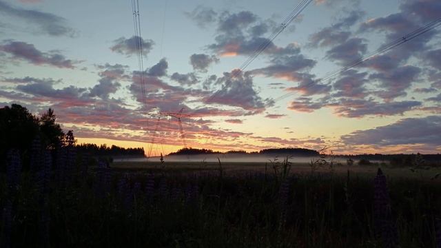 2024 - Восход в лесу около Череповца