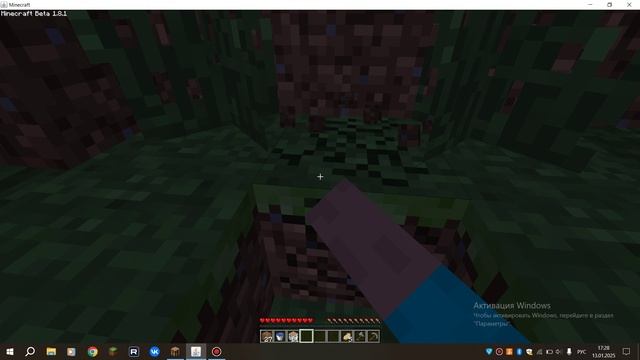 Выживание в Майнкрафте Beta 1.8.1 #3