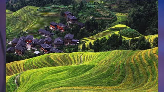 § 19 "Расселение: жители городов и деревень", География 10 класс, Полярная звезда