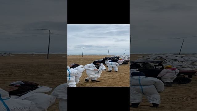 Пляж в Анапе. Экологическая катастрофа.