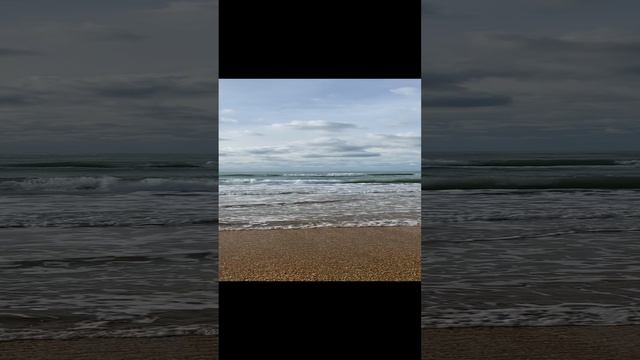 Прости нас, море!