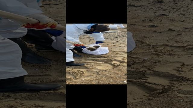 Ручная работа. Сбор загрязнённого песка.