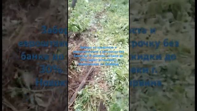 Компания Пенсионер 21 века, Кемеровская область, г. Новокузнецк, ул. Ушинского 8, т. 8(3843)56-18-36