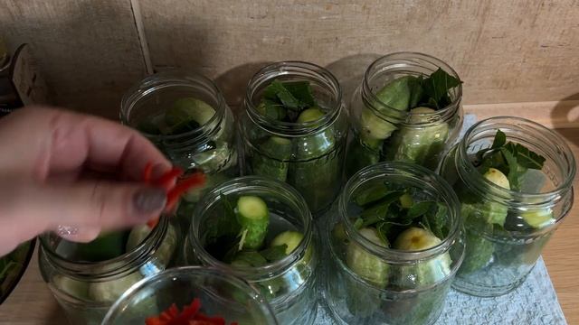 Мама 90 лет закрывала огурцы по этому рецепту. Маринованные огурчики пальчики оближешь