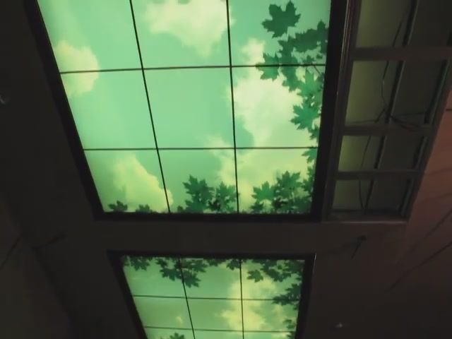 ДВО 12 «Optimal Photo»