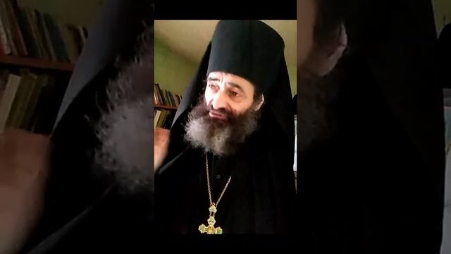 Честь между верблюдом и судьёй