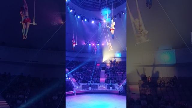 Цирк 11.01.2025 Н.Тагил