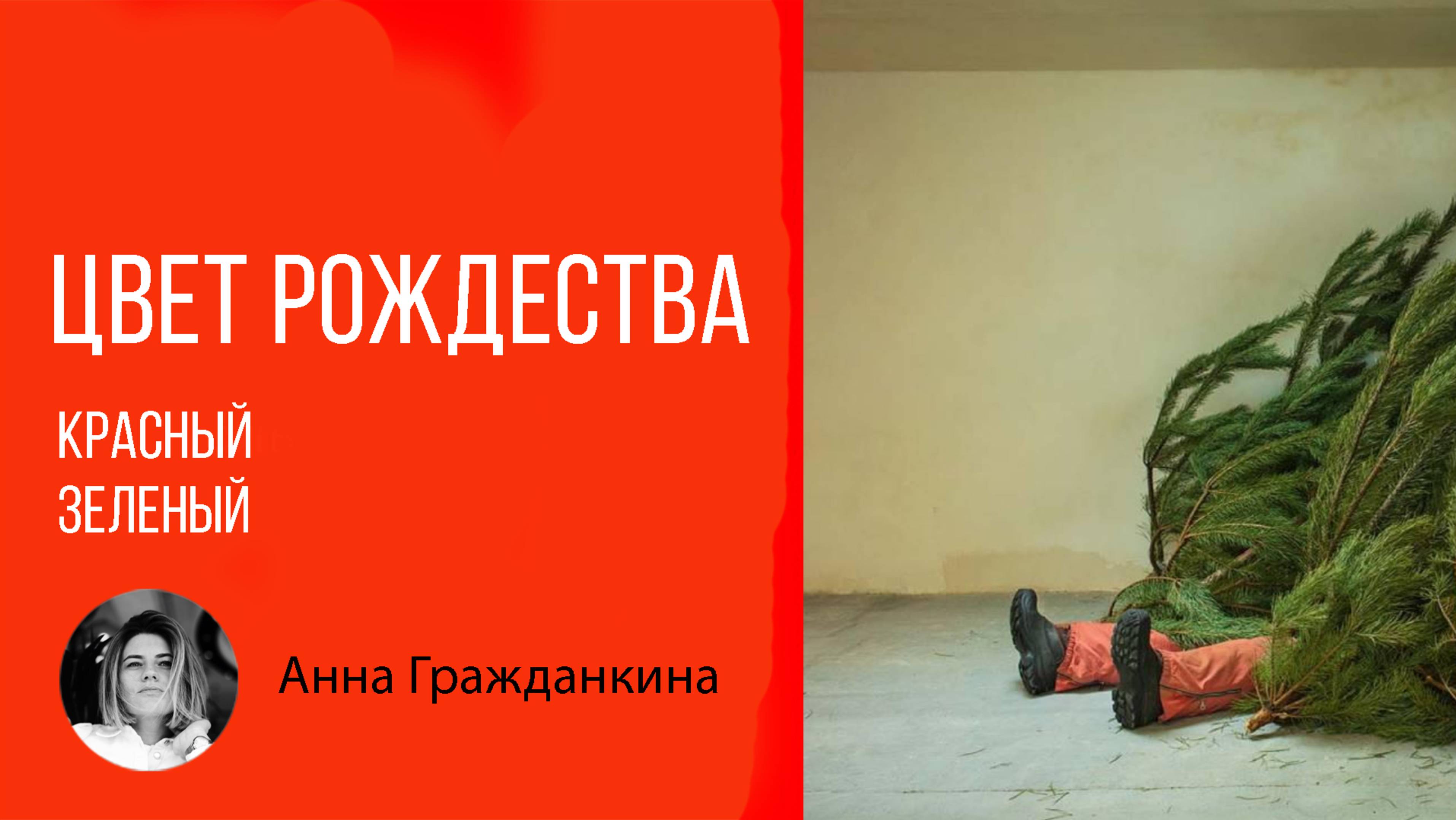 НИ ДНЯ БЕЗ КАДРА. Тема «Цвет Рождества. Красный, зеленый».