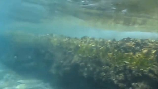 Пляж отелей Royal Star Empire Beach Resort и The Three Corners Triton Empire. Хургада. Красное море