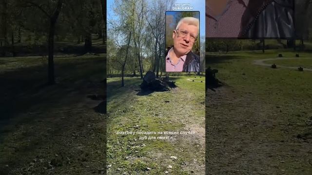 Екатерингофские байки. Часть 3. Островок