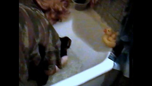 2010.11 - Мытье кота