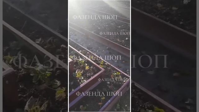 Металлические грядки. Оцинкованные грядки с полимерным покрытием. Фазенда шоп
