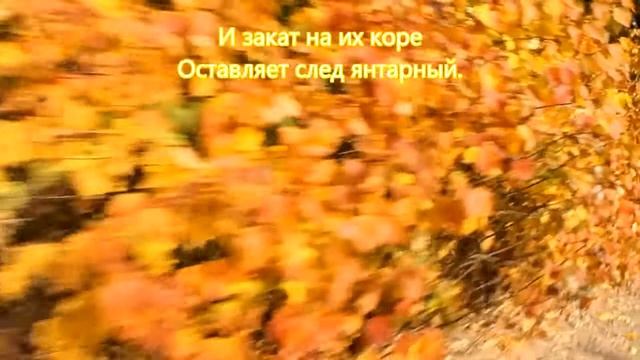 ЗОЛОТАЯ ОСЕНЬ