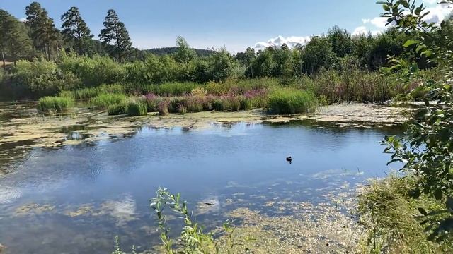 Моё маленькое путешествие на маленькое море. С сыном на Тургояк. Пляж озера. Есть ли море на Урале?