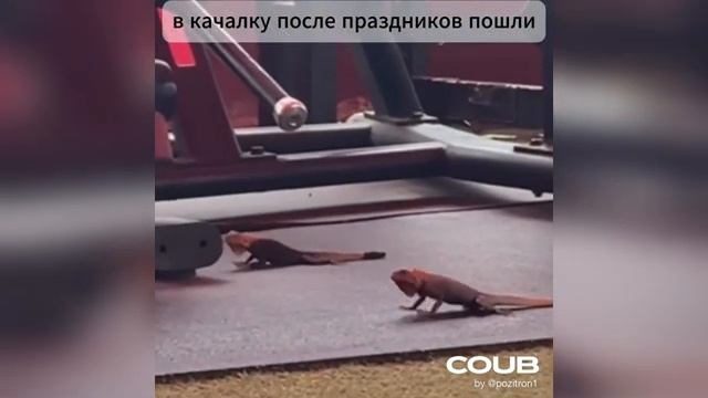 сборник приколов часть 20