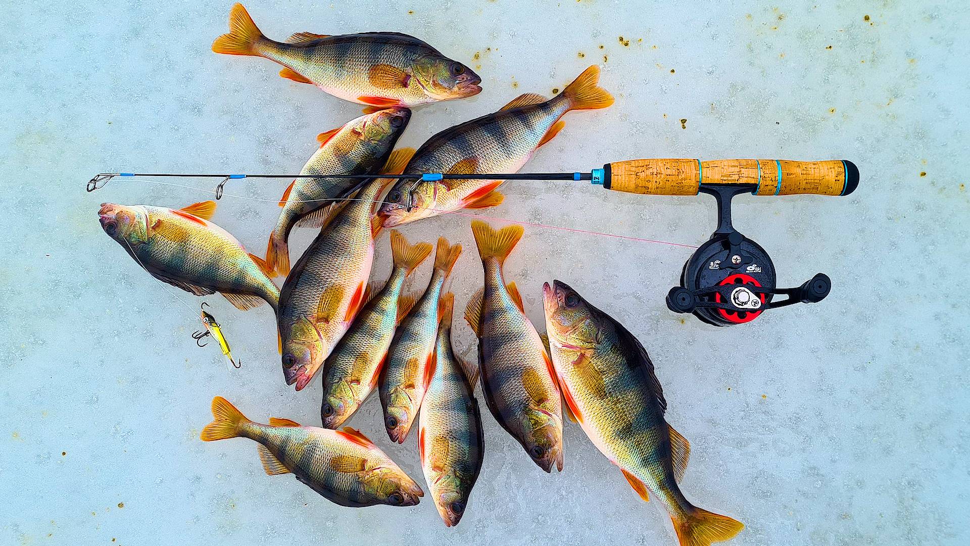 РАБОЧИЙ БАЛАНСИР НА ОКУНЯ! Рыбалка на балансир! Рыбалка на жерлицы!