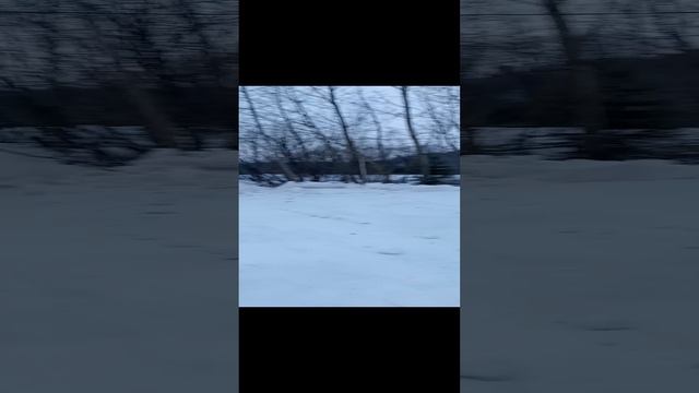 Аркуль, 13 января 2025 г зима однако