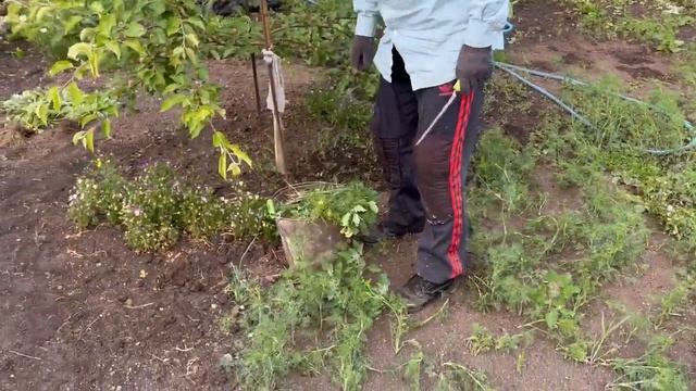 Почему ругаемся с мужем и что купили в дом на даче. Плюс  закрытый контент