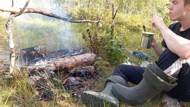 За брусникой 28.08.21