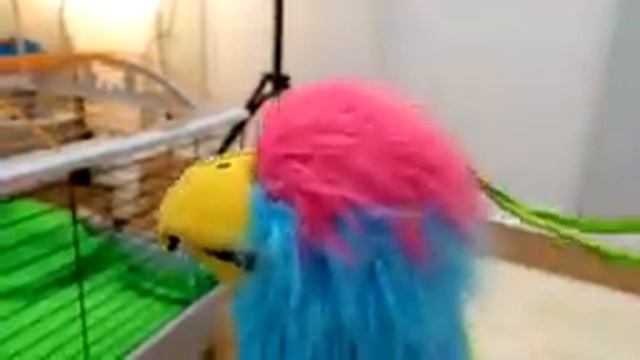 Дамы и господа, это перезалив старого чужого ролика, так как YouTube заблокировали… 2.0 №2 [Пиги]