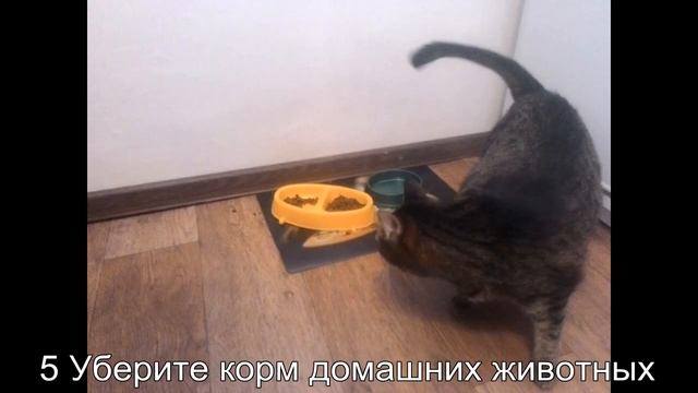 подготовка квартиры к обработке от тараканов