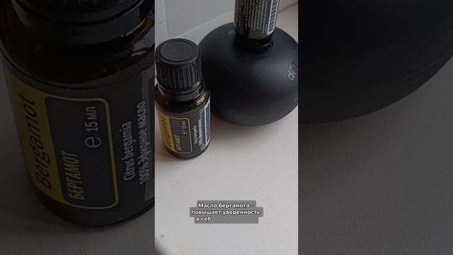 Как подготовиться к собеседованию или переговорам с помощью эфирных масел