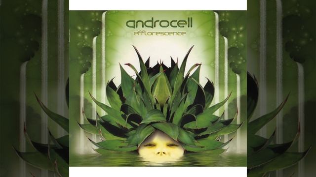 Androcell - Neurosomatic Circuit