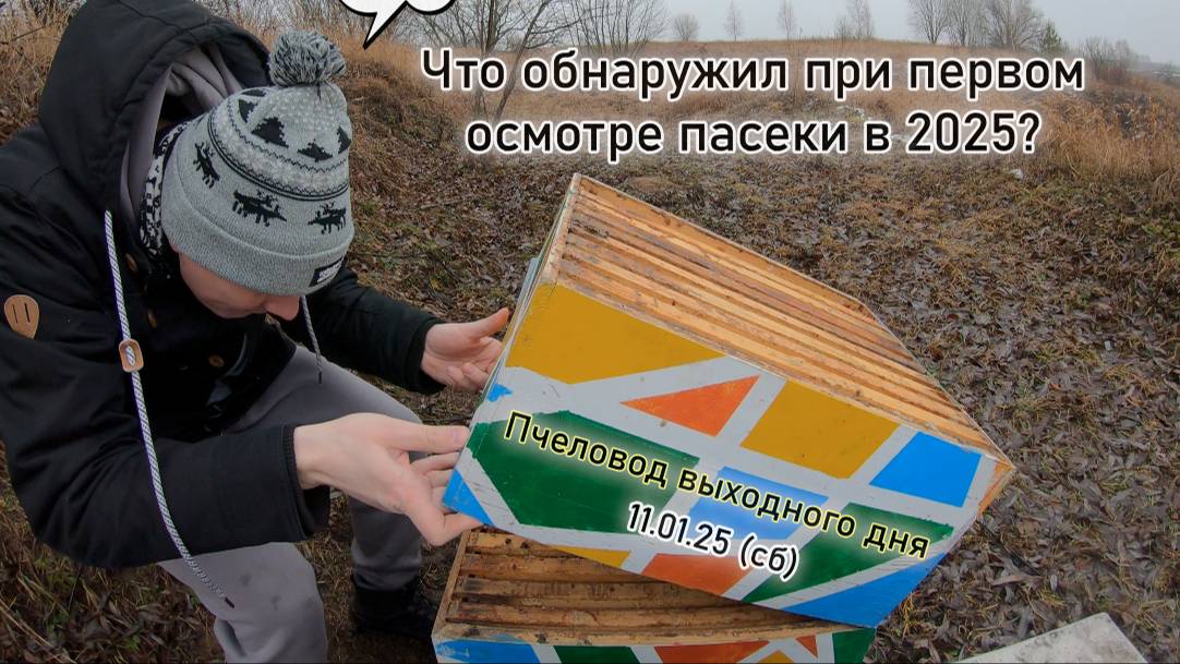 Что обнаружил при первом осмотре пасеки в 2025. Пчеловод Выходного Дня (11.01.25)