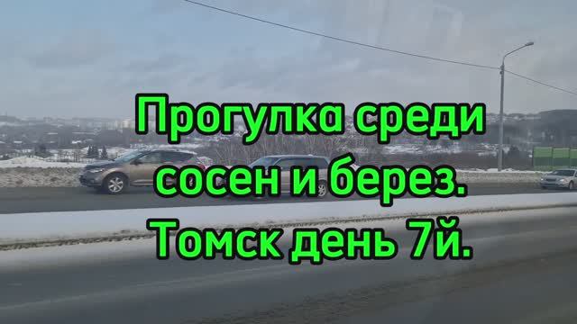 ВоскреснаяПрогулкаВЛесопаркПодТомском