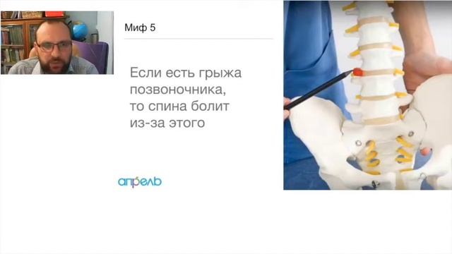 Мифы про боль в спине и «красные флаги» — когда идти к врачу