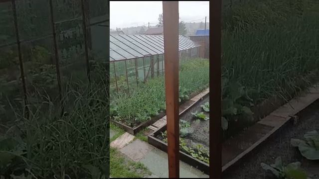 О ЧЕМ ЕЩЕ МОЖНО МЕЧТАТЬ В ЯНВАРЕ, КАК НЕ О ЛИВНЕ И НЕ О ЛЕТЕ