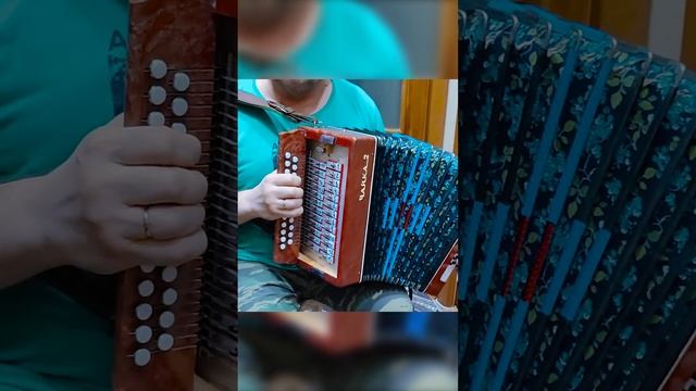 Виновата ли я Разбор по цифрам 3 аккорда и 300 песен или как быстро научиться играть на гармони урок