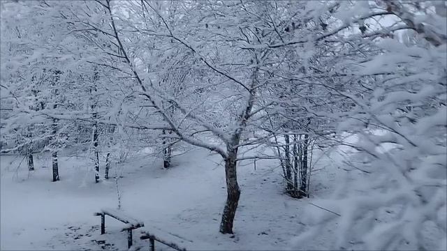 Пришла зима