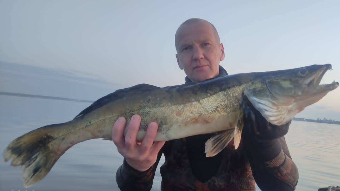 Поборка лучших выстрелов на подводной охоте 2022г.