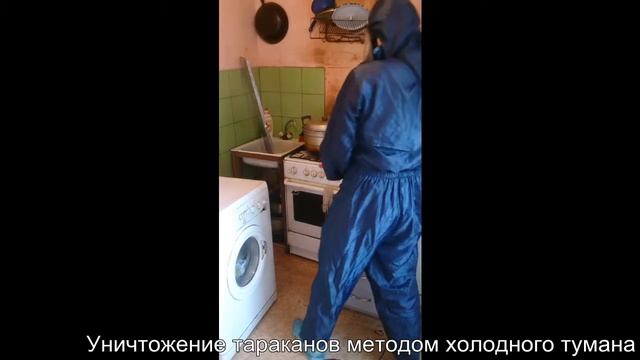 дезинсекция от тараканов