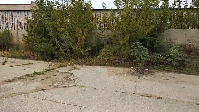 Покатушки на квадроцикле и питбайке