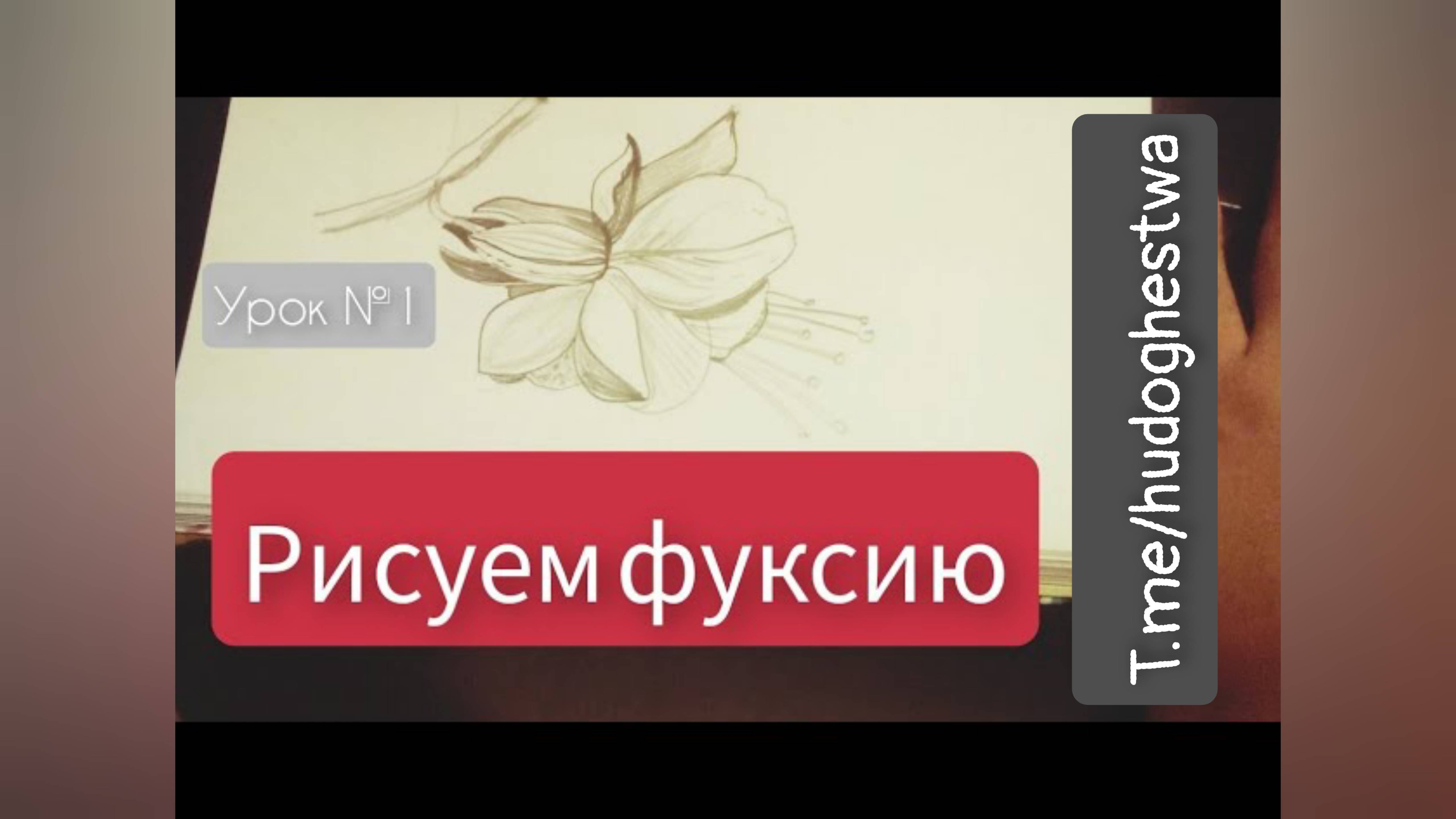 Рисуем фуксию_ Антистресс-видео _ Рисуем цветы_ Рисуем карандашом _ Залипательное видео _  Релакс