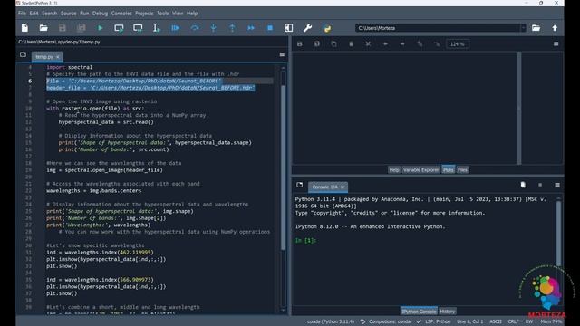 How to handle ENVI images of hyperspectral data in Python