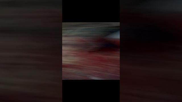 милый котик 7 серия 1 сезона