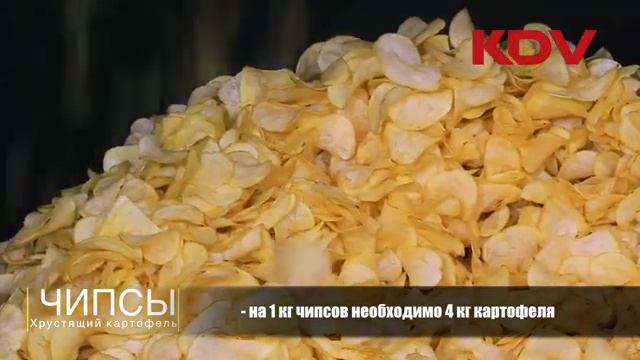Как рождаются чипсеки (KDV)
