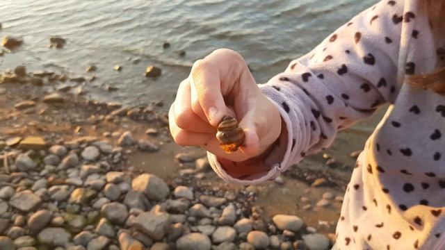 2023 - Закат в Череповце