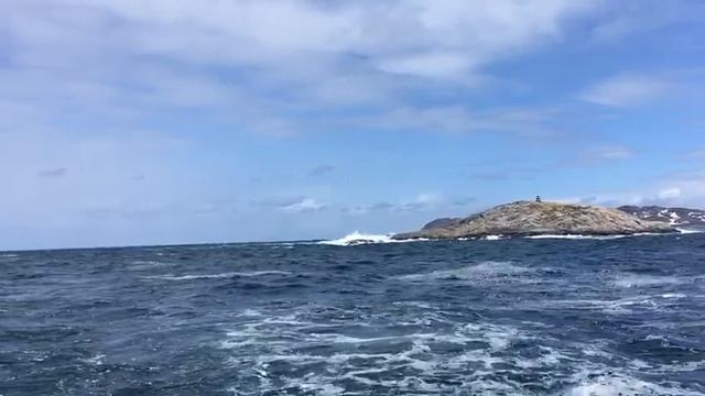 Мурманск. Рыбалка.(1)